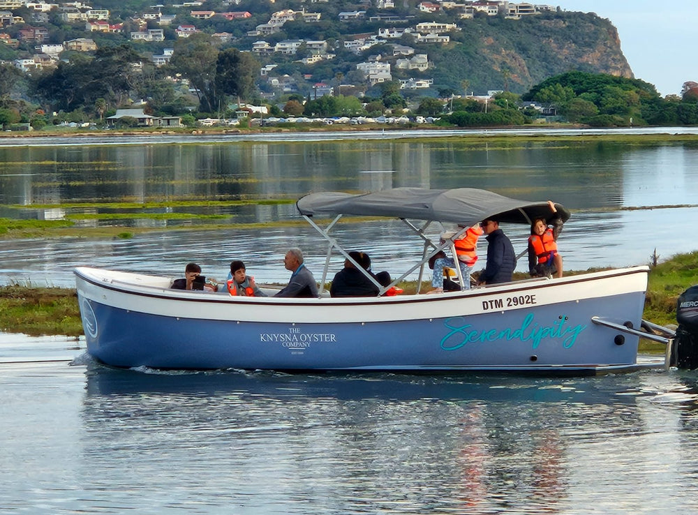Daily Knysna Lagoon Cruises to the Heads | Book Your Adventure
